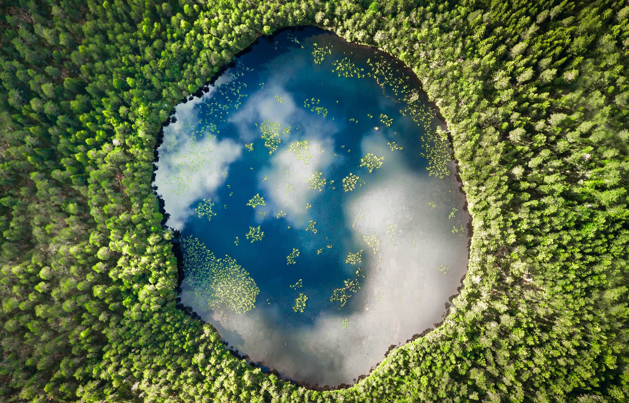 What is the EarthShot Prize and why is it so important? – Tropic Skincare